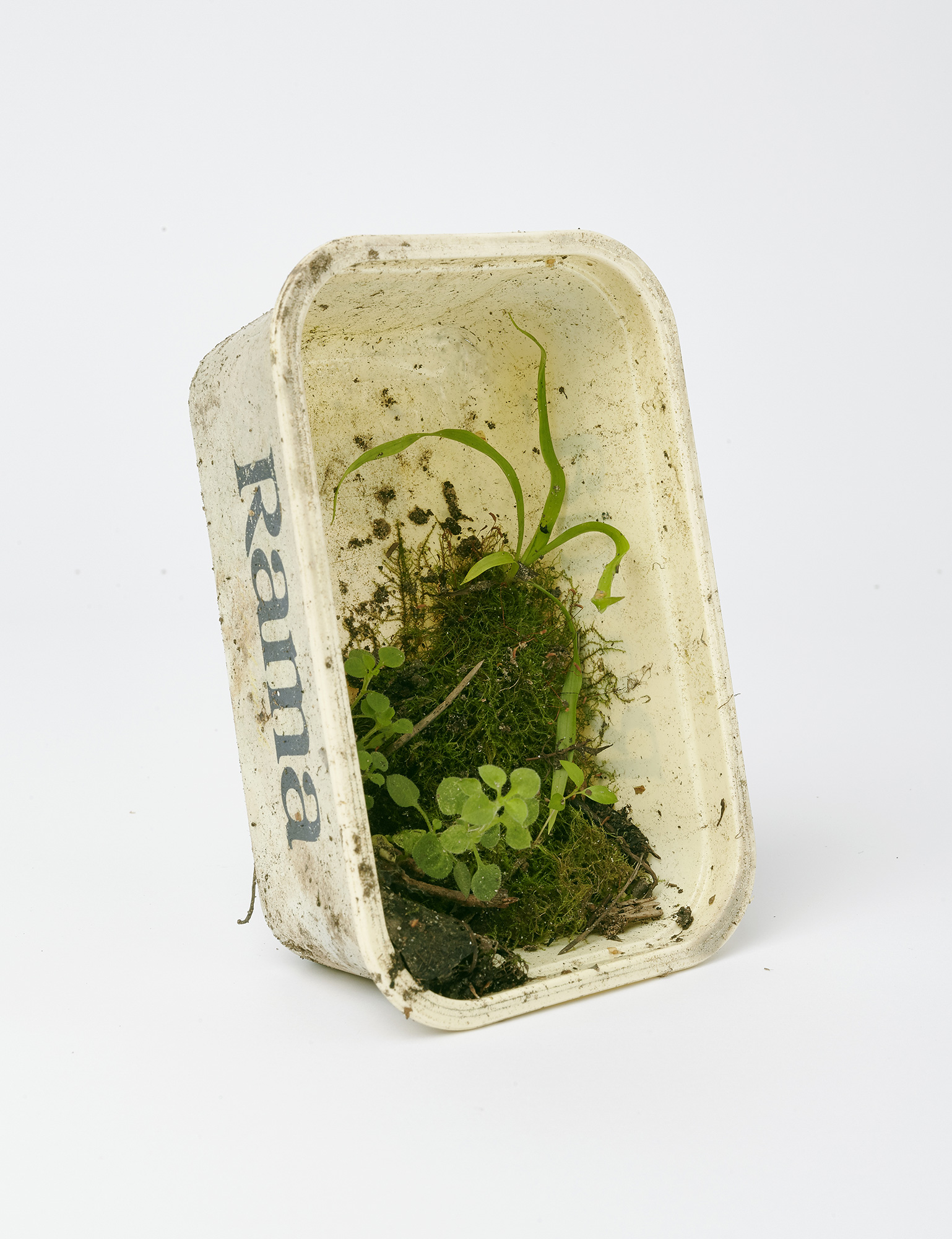 Diana LELONEK - SLOW LIFE.